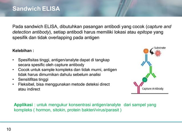 Teknik-Dasar-ELISA-dan-Aplikasinya-untuk-Deteksi-Pathogen.pptx