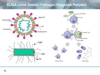Teknik-Dasar-ELISA-dan-Aplikasinya-untuk-Deteksi-Pathogen.pptx