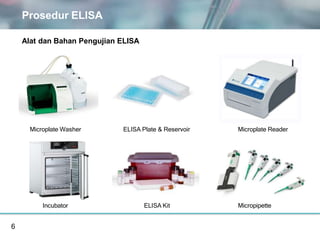 Teknik-Dasar-ELISA-dan-Aplikasinya-untuk-Deteksi-Pathogen.pptx