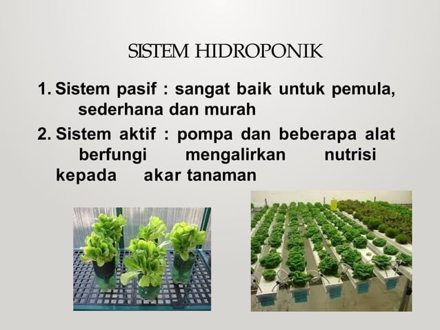 Teknik hidroponik pembelajaran mengenal hidroponik | PPTX
