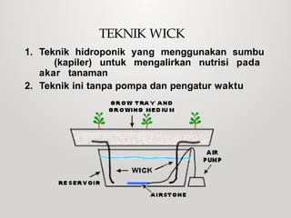 Teknik hidroponik pembelajaran mengenal hidroponik | PPTX