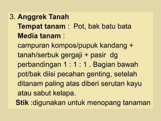 Teknik_Budidaya_Anggrek..............ppt