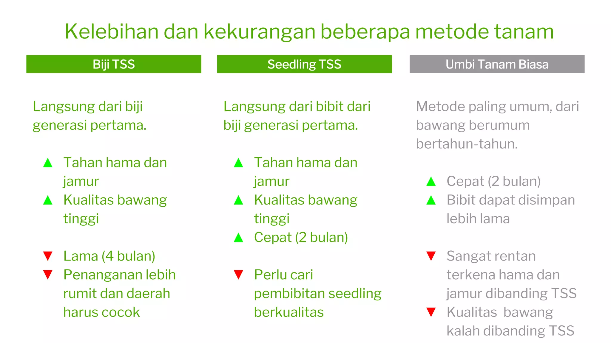 Teknik Budidaya Bawang Merah TSS_Overview.pptx