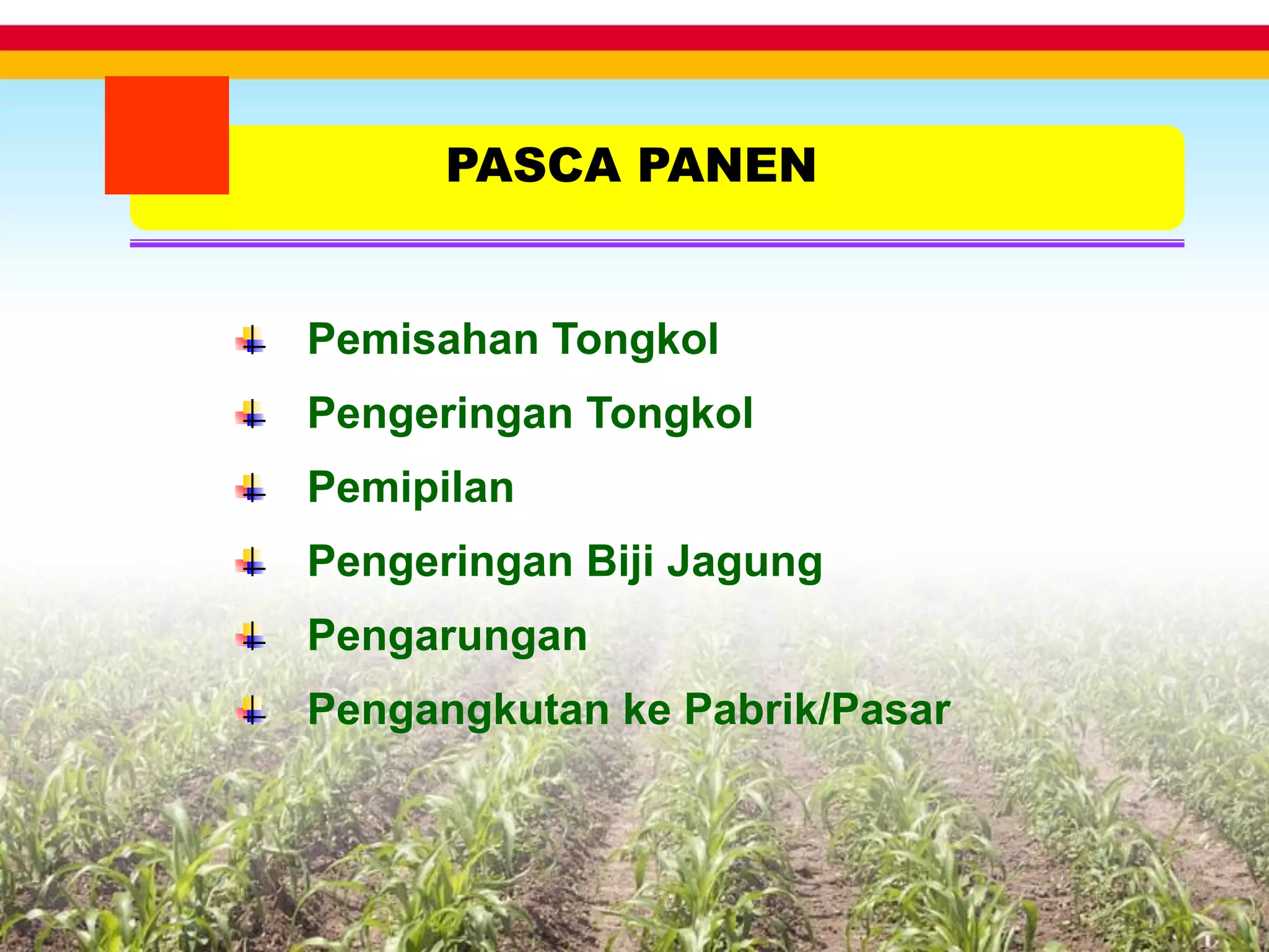 Teknik Budidaya Jagung Pasca Panen.pdf