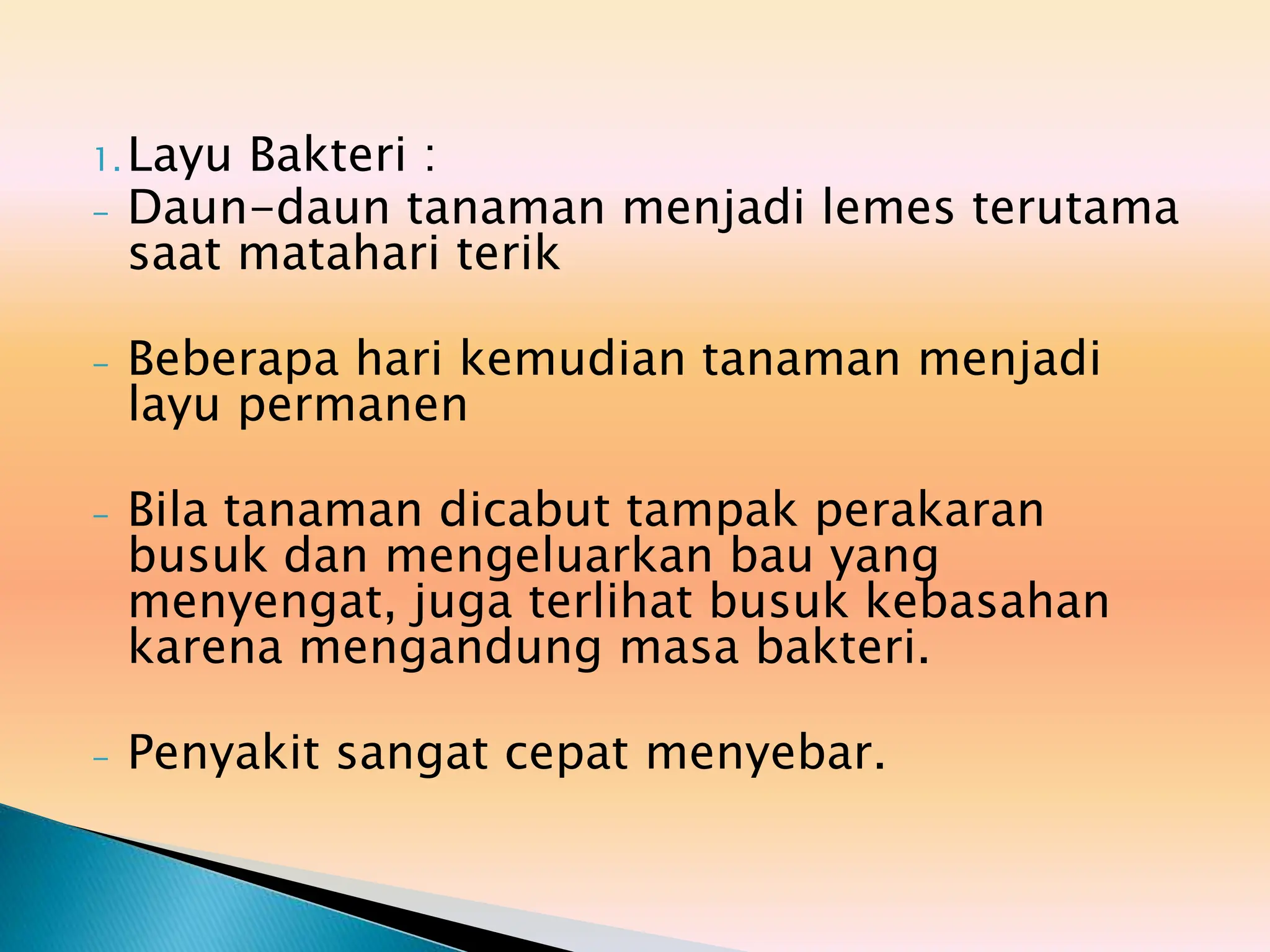 TEKNIK BUDIDAYA TANAMAN CABAI DAN TOMAT BEBAS LAYU FUSARIUM.pptx