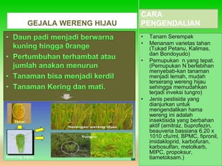 Teknikbudidayatanamanpadi 140919105622-phpapp02 | PPTX