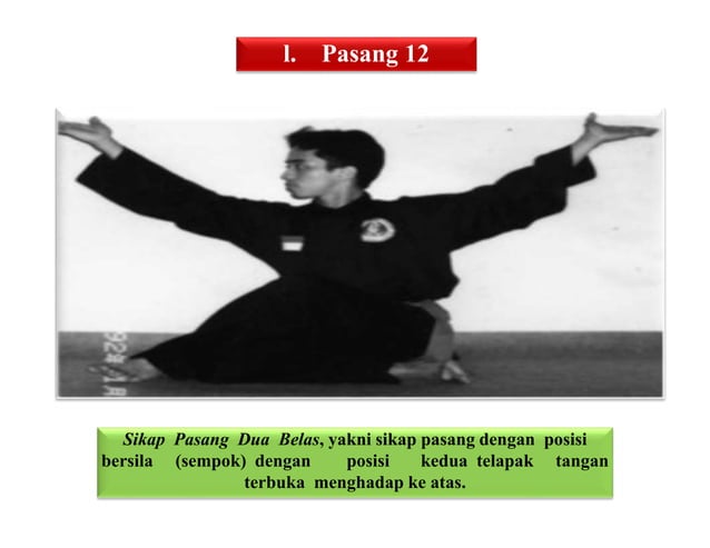Teknik dasar dalam gerakan pencak silat | PPT