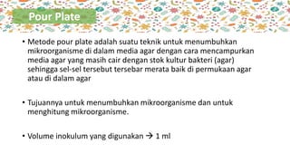Materi Kuliah Teknik Dasar dalam Mikrobiologi | PDF