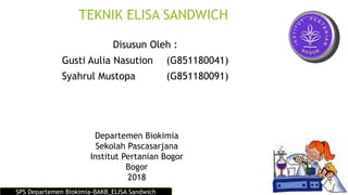 Teknik elisa sandwich | PDF