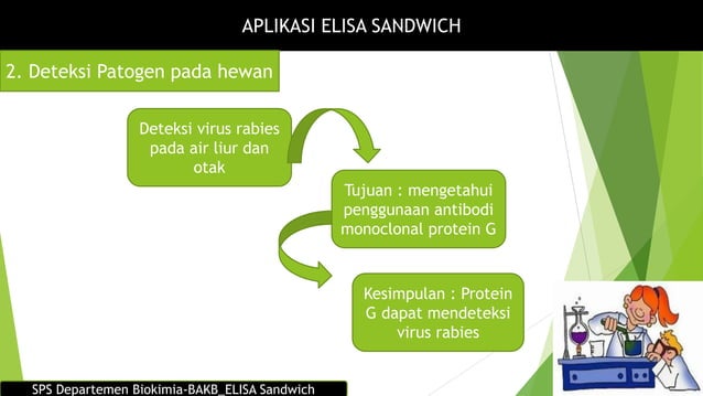 Teknik elisa sandwich | PDF