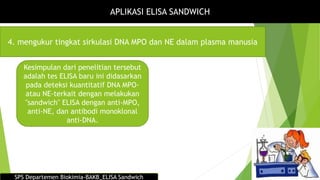 Teknik elisa sandwich | PDF