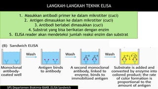 Teknik elisa sandwich | PDF