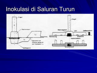 Inokulasi for casting