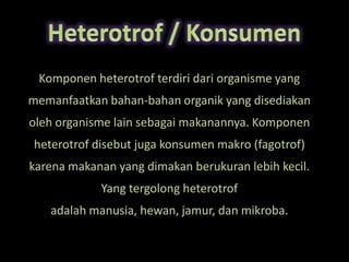 Konsep Ekosistem | PPTX