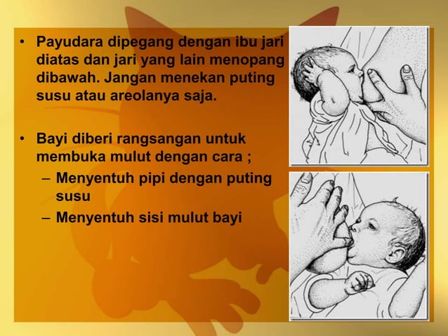 Teknik menyusui.ppt
