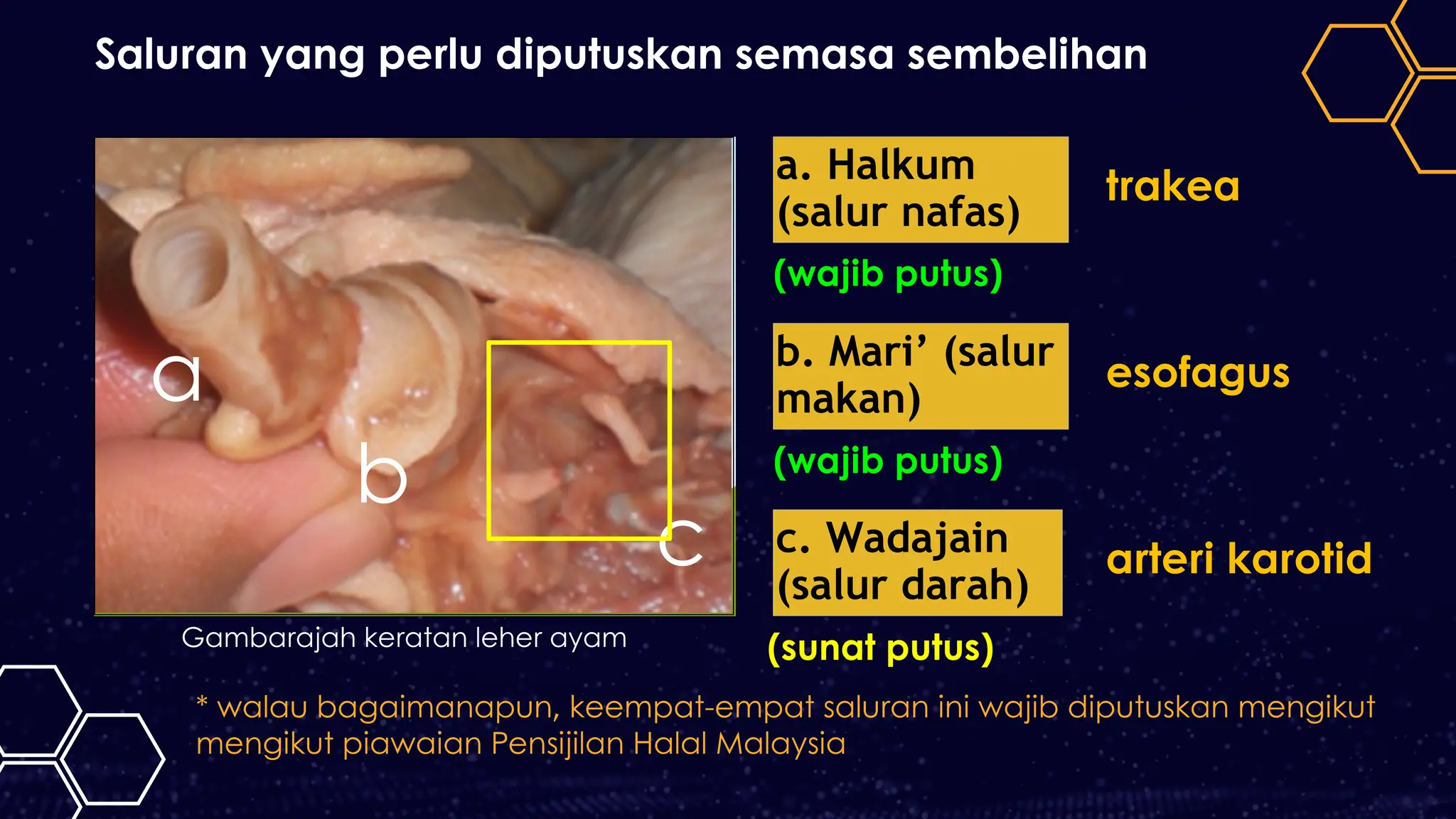 TEKNIK MODEN DALAM SEMBELIHAN HALAL 2025.pptx.pdf