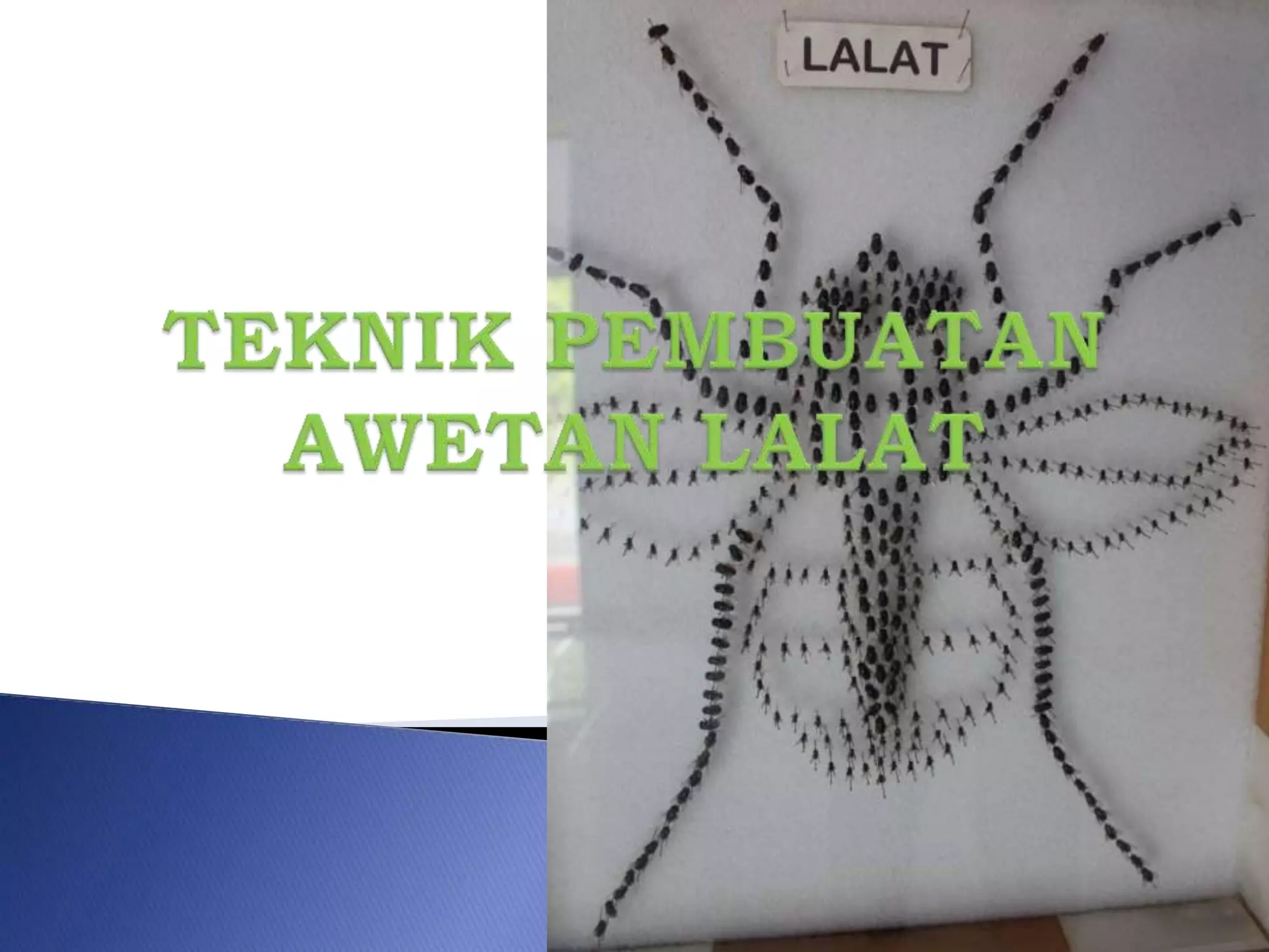 TEKNIK PEMBUATAN AWETAN SERANGGA.pptx