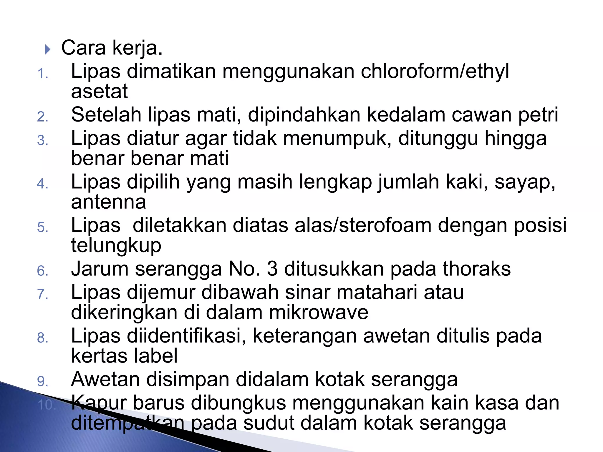 TEKNIK PEMBUATAN AWETAN SERANGGA.pptx
