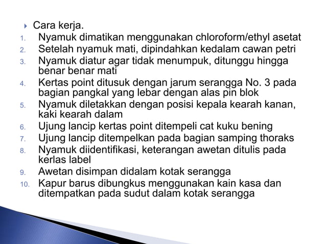 TEKNIK PEMBUATAN AWETAN SERANGGA.pptx