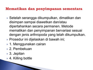 TEKNIK PEMBUATAN AWETAN SERANGGA.pptx