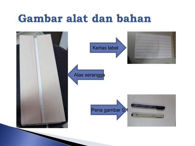 TEKNIK PEMBUATAN AWETAN SERANGGA.pptx