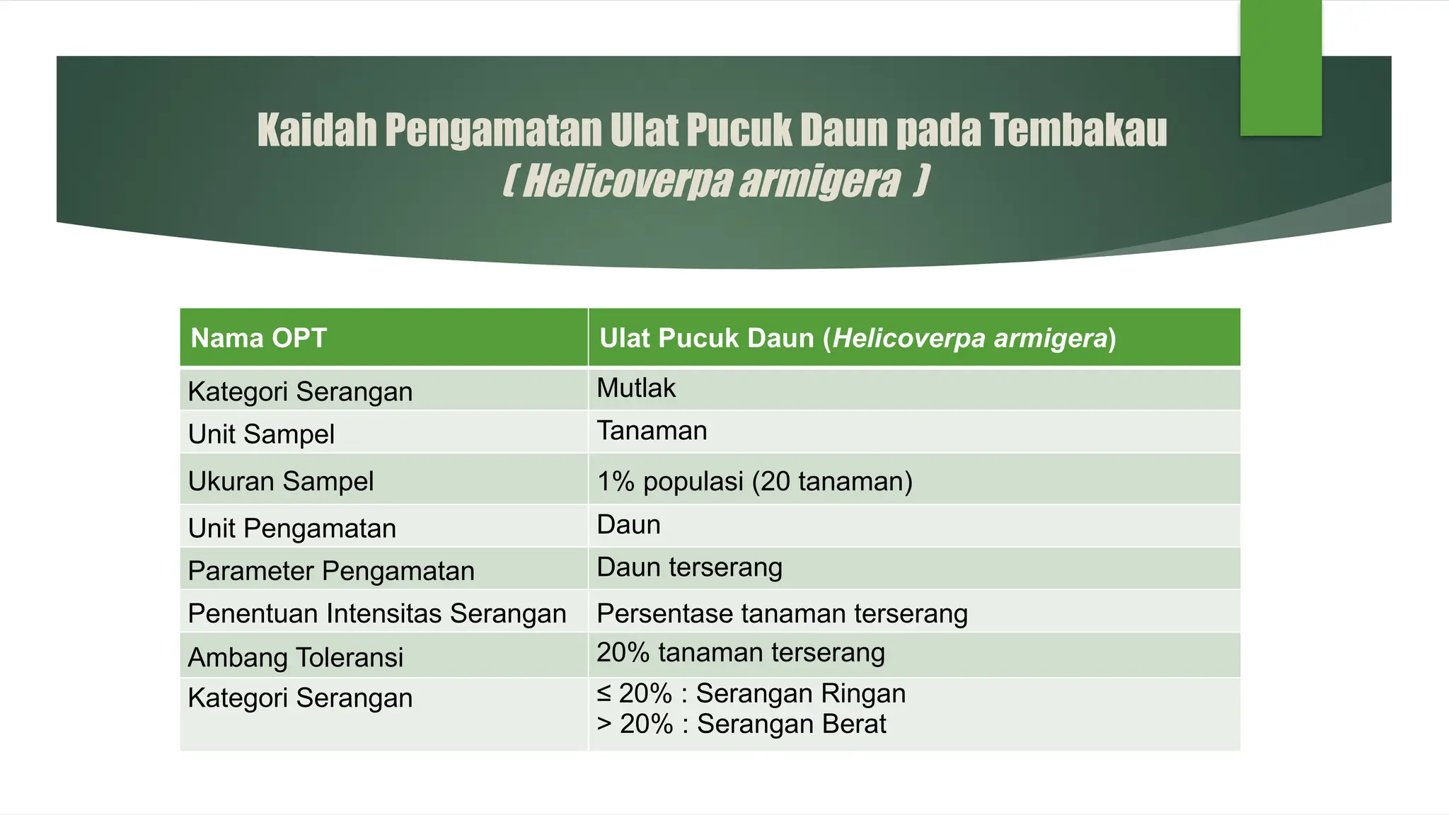 Teknik Pengamatan OPT Tanaman Tembakau.pptx