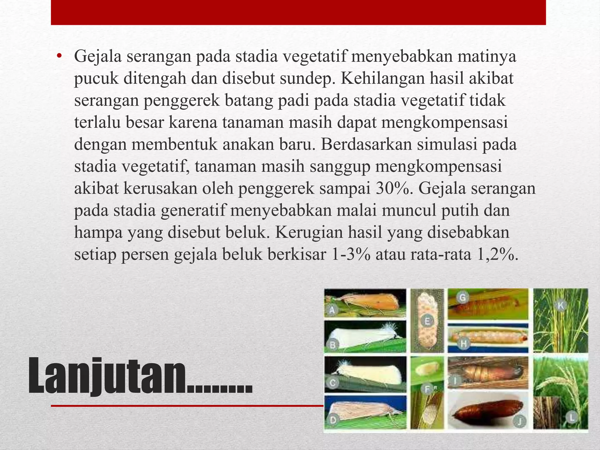 TEKNIK PENGAMATAN, PENCEGAHAN DAN PENGENDALIAN OPT.pptx
