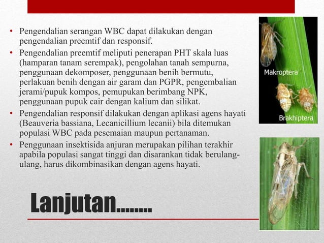 TEKNIK PENGAMATAN, PENCEGAHAN DAN PENGENDALIAN OPT.pptx