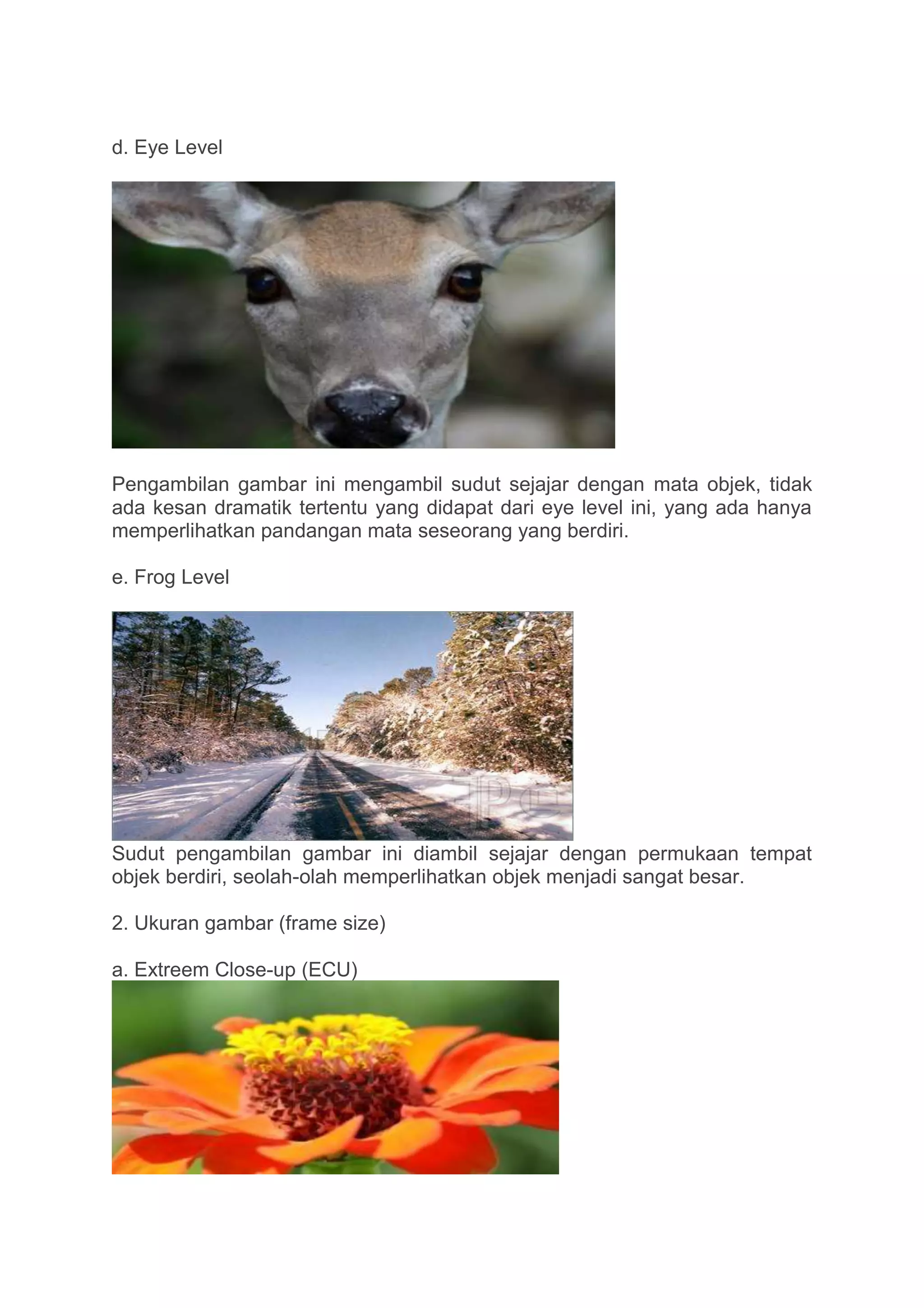 Teknik pengambilan gambar | DOCX