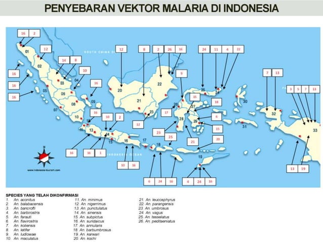 Teknik Pengendalian Vektor DBD dan Malaria_ Mamuju Juli 2023ppt.pptx