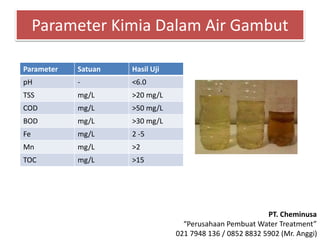 Cara Mengolah Air Gambut Menjadi Air Bersih -- PT. Cheminusa 0852 8832 ...