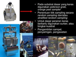 Teknik Sampling Parameter Lingkungan | PPTX