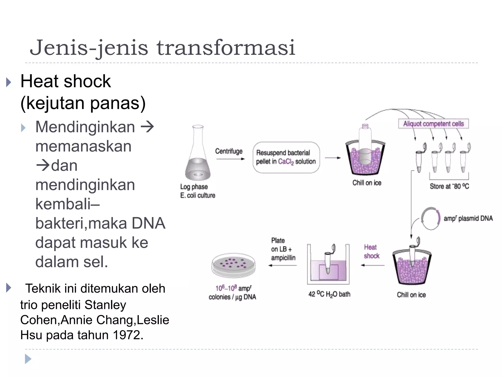 Teknik transformasi | PPTX