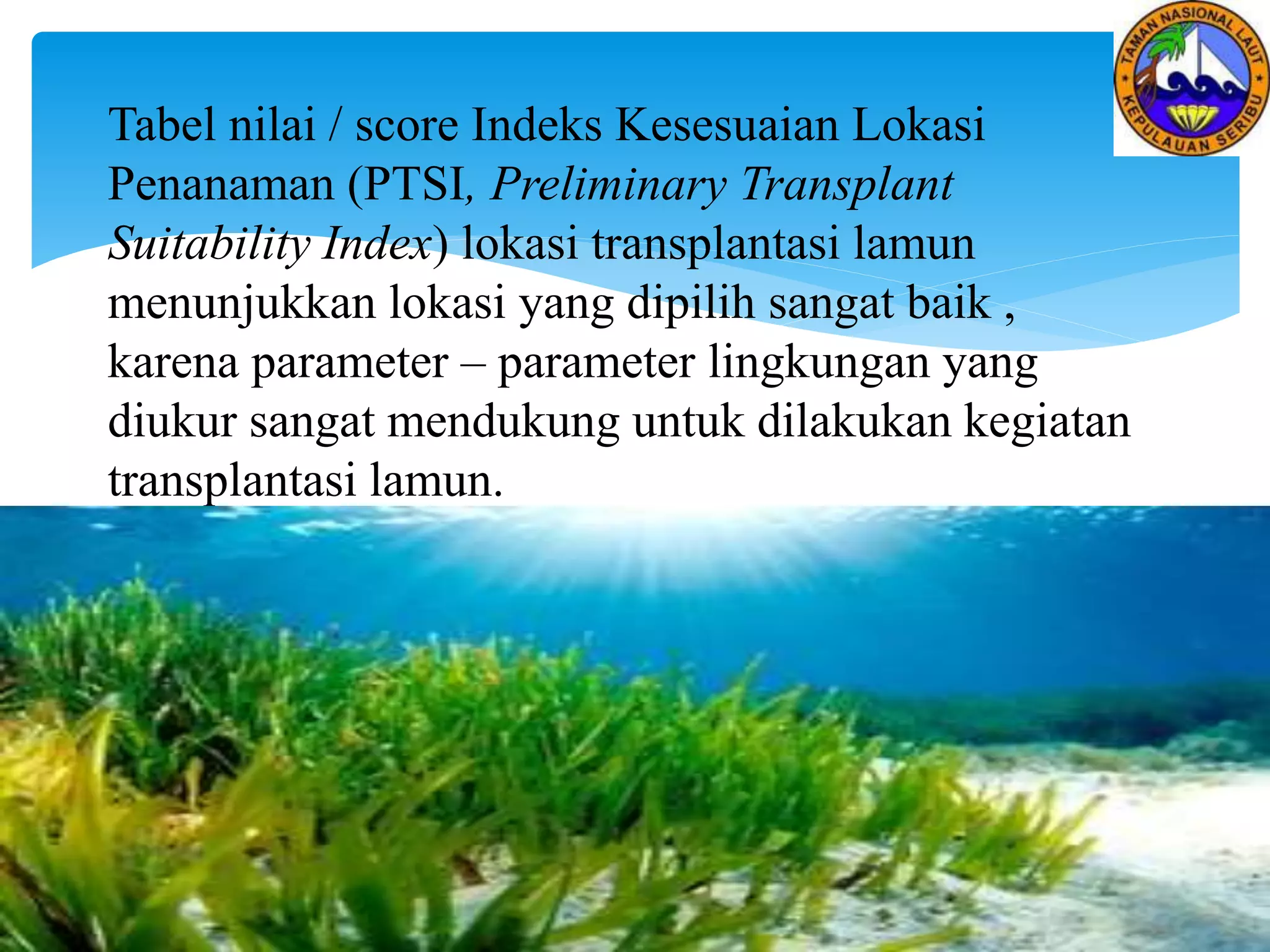 Teknik transplantasi lamun | PPTX