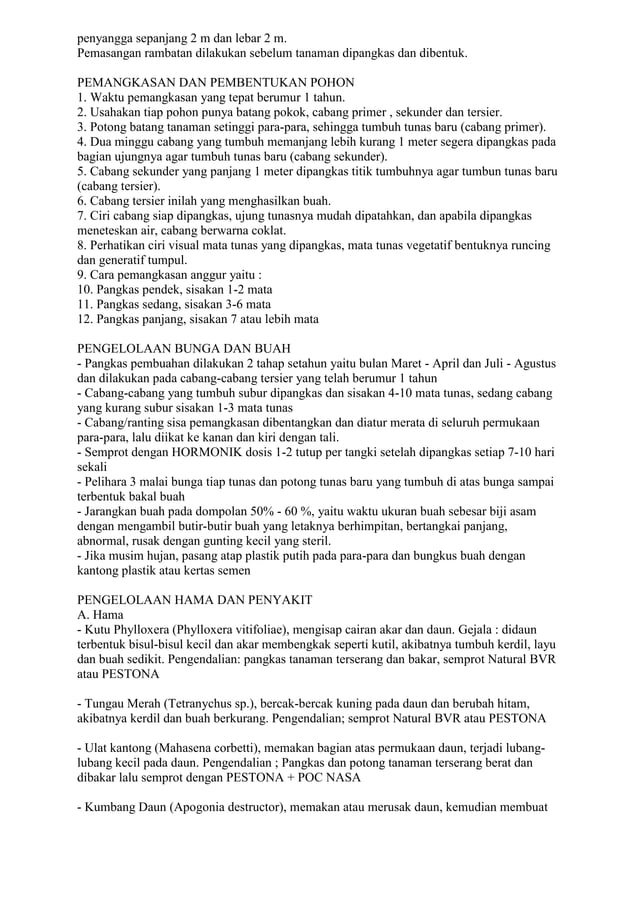 Teknis budidaya anggur | PDF