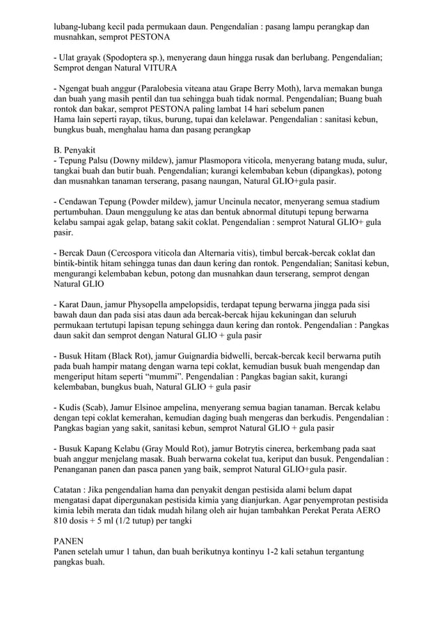 Teknis budidaya anggur | PDF