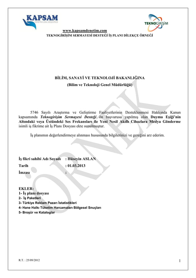 Teknogirisim sermayesi destegi ornek i̇s planı dosyasi | PDF