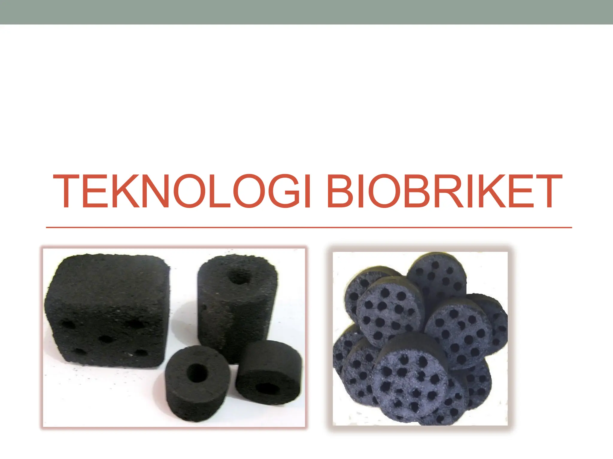 TEKNOLOGI BIOBRIKET DARI LIMBAH TEMBAKAU UNTUK MENINGKATKAN PENDAPATAN ...