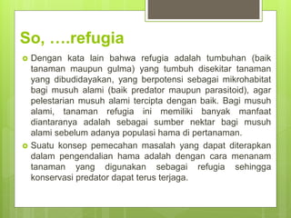 TEKNOLOGI BUDIDAYA REFUGIA.pdf
