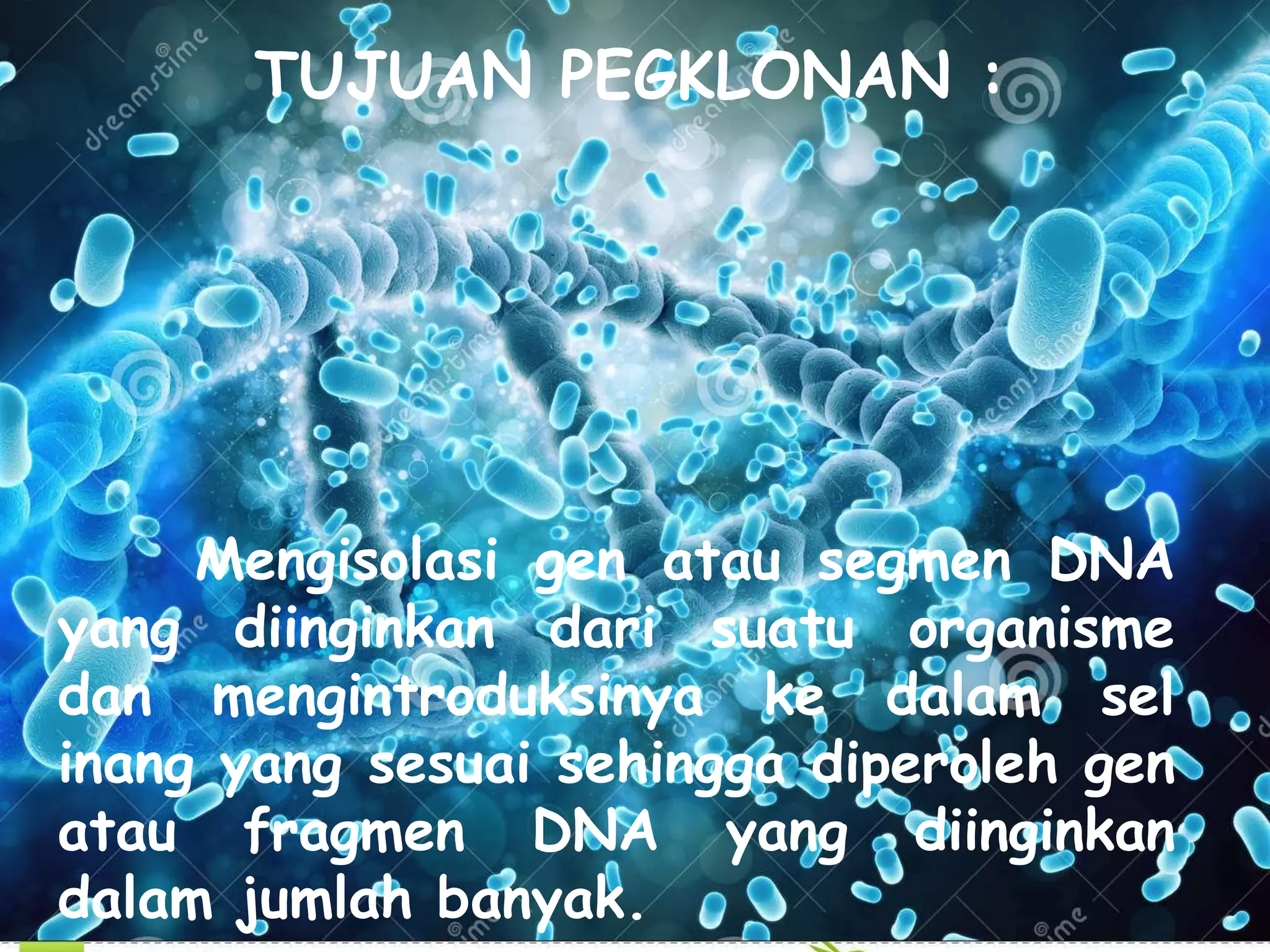 Teknologi dna rekombinan | PPTX