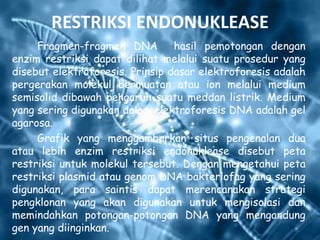 Teknologi dna rekombinan | PPTX