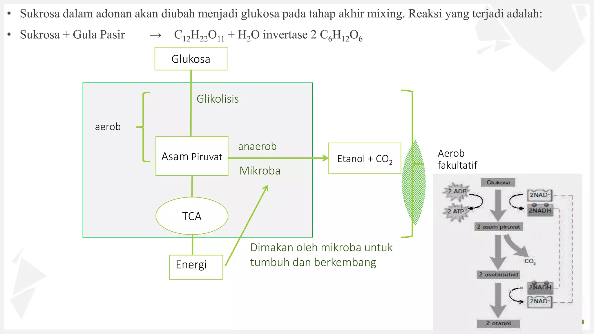 Teknologi Fermentasi Pada Pembuatan Roti | PPTX