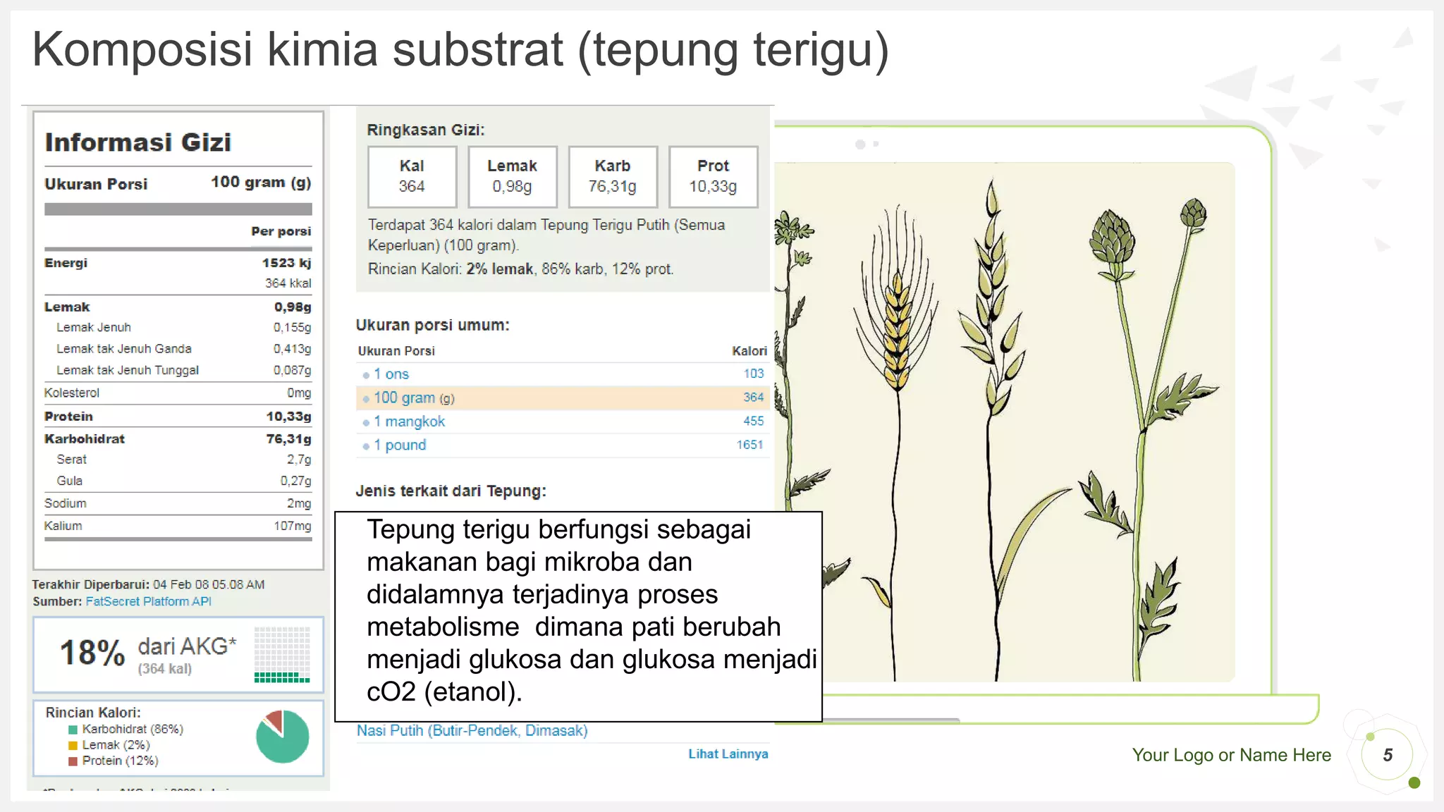 Teknologi Fermentasi Pada Pembuatan Roti | PPTX