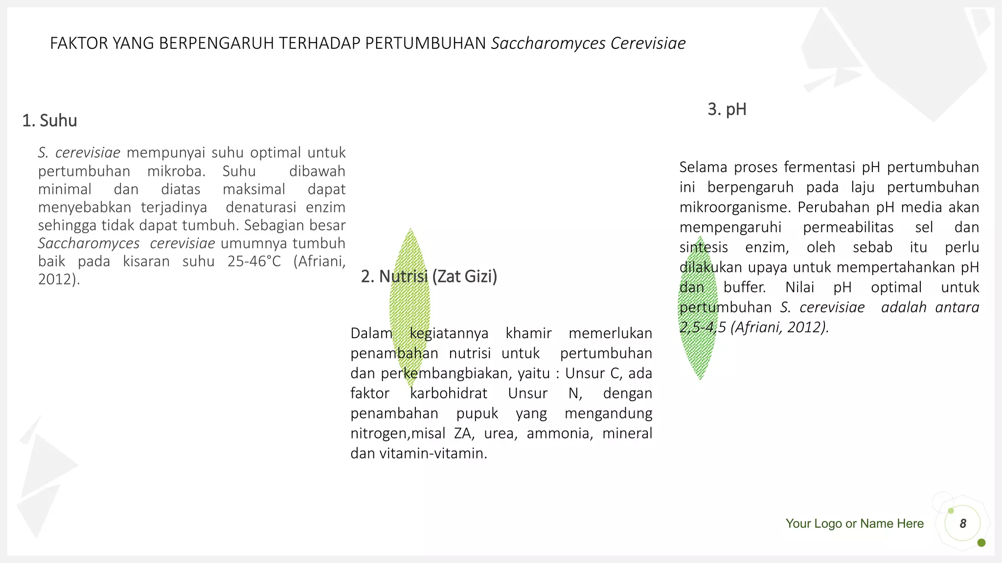 Teknologi Fermentasi Pada Pembuatan Roti | PPTX