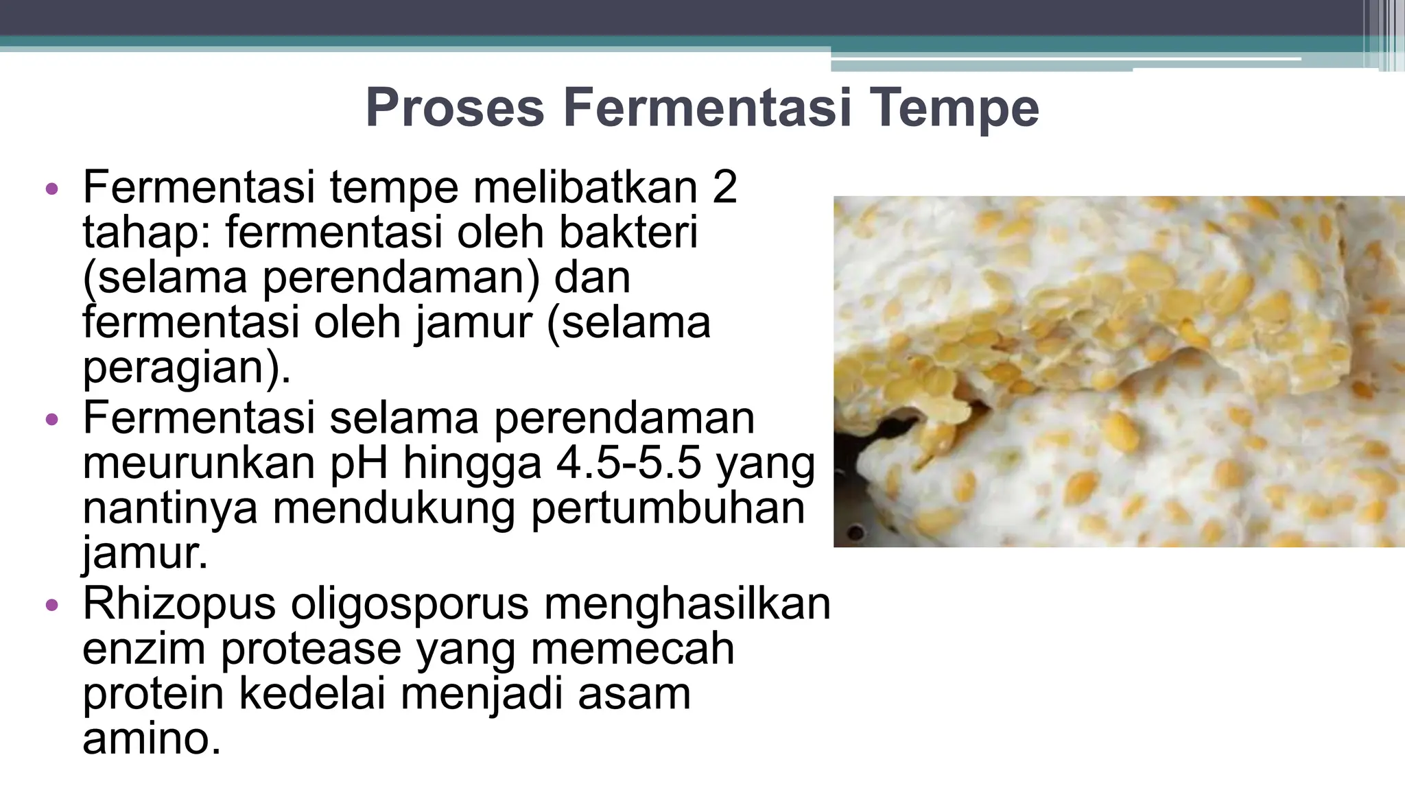 Teknologi Fermentasi dan Aplikasinya dalam Pengolahan Pangan.pptx