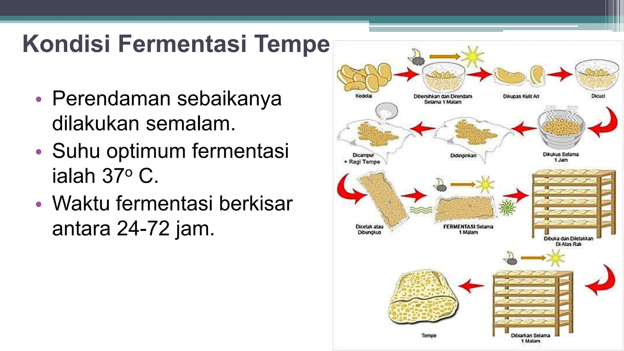 Teknologi Fermentasi dan Aplikasinya dalam Pengolahan Pangan.pptx