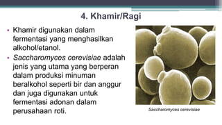 Teknologi Fermentasi dan Aplikasinya dalam Pengolahan Pangan.pptx