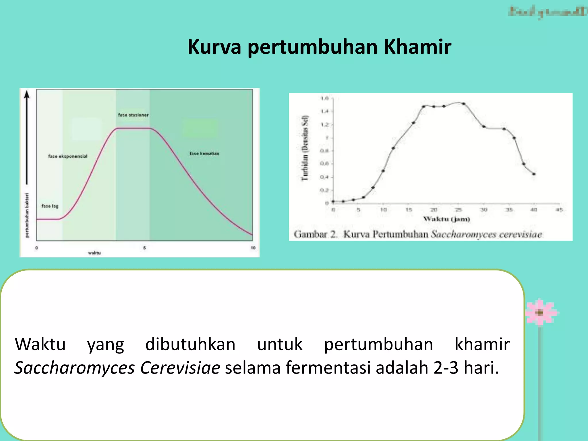 Teknologi Fermentasi pada Brem | PPTX