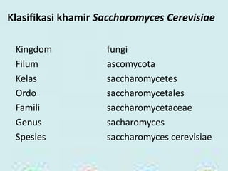 Teknologi Fermentasi pada Brem | PPTX