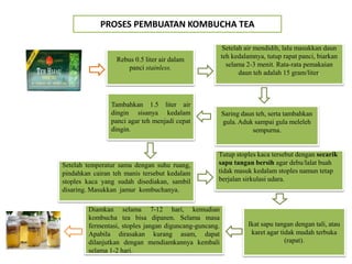 Teknologi Fermentasi Teh Kombucha | PPTX